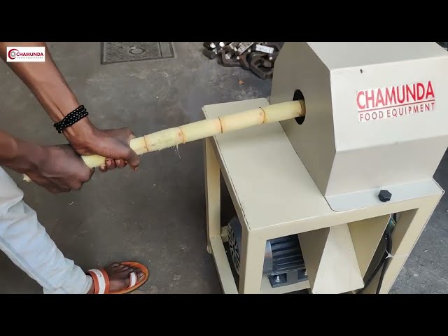 Sugarcane Machine - Sugarcane Cleaning Machine Manufacturer from Rajkot