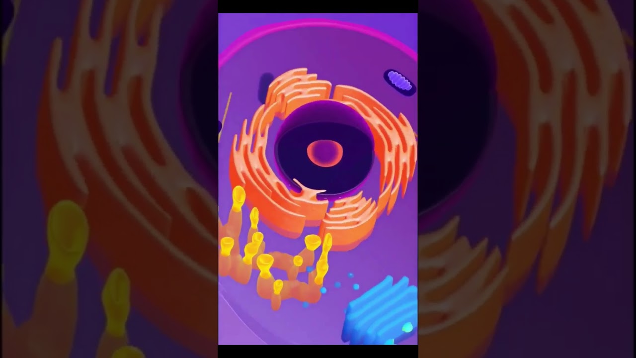 Biology| Grade 10 | Science students| Waec| Download now #k12education #biology #learningapp