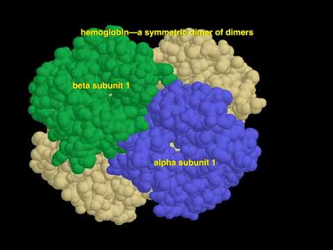 oligomeric proteins