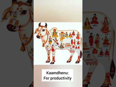 Wallpapers to attract money, success and career growth 🙏✨ #remedies #astrology
