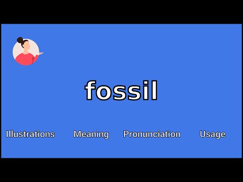 FOSSIL - Meaning and Pronunciation