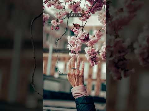 Before / AfteršFree Cinematic Desktop & Mobile Lightroom Presets #newcinematicpreset #presets