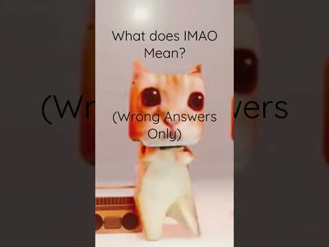 What does IMAO Mean? (Wrong Answers Only)