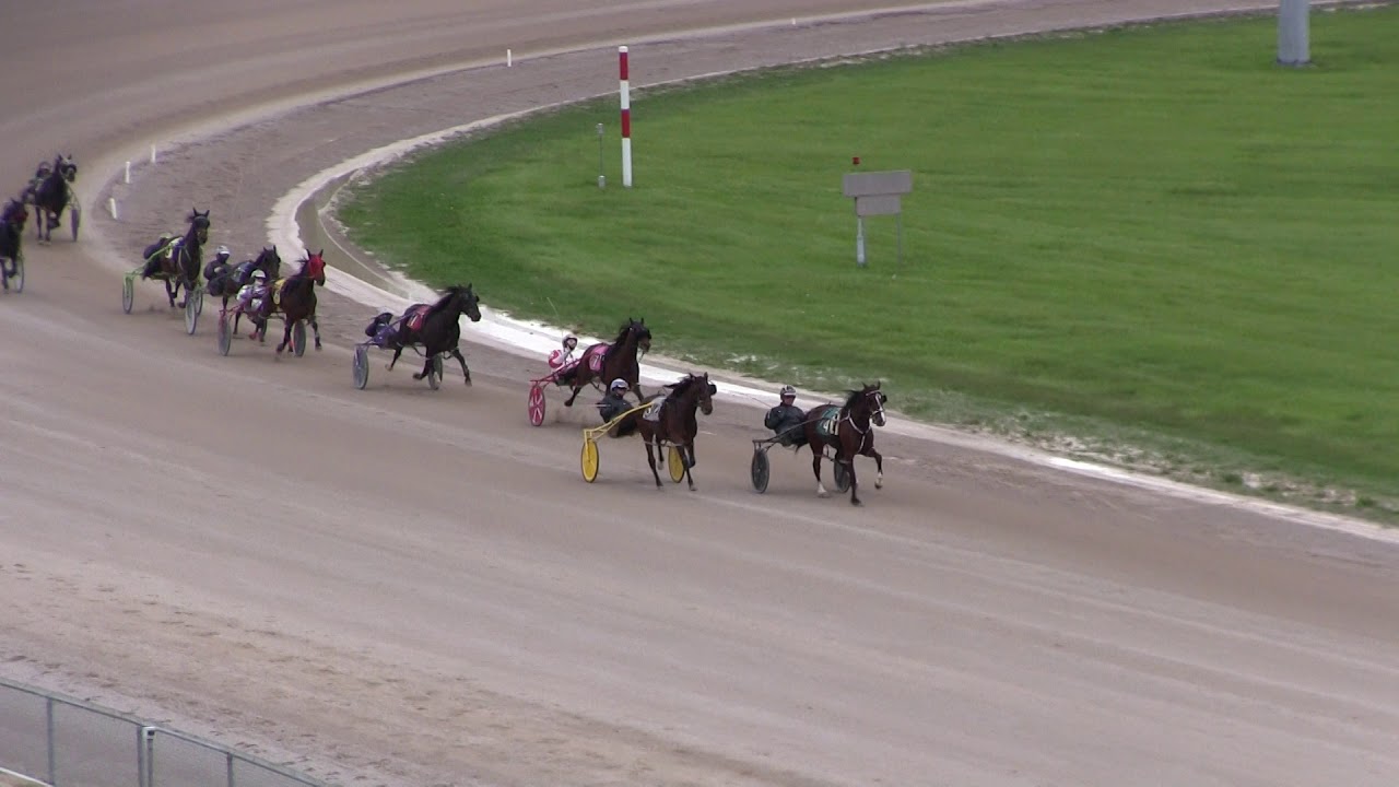 Eldorado Scioto Downs Qualifier #7  May 20, 2020