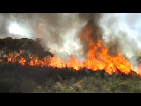 Helping Australia adapt to a changing climate (2008)