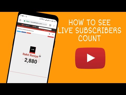 How to check live subscribers count on social blade