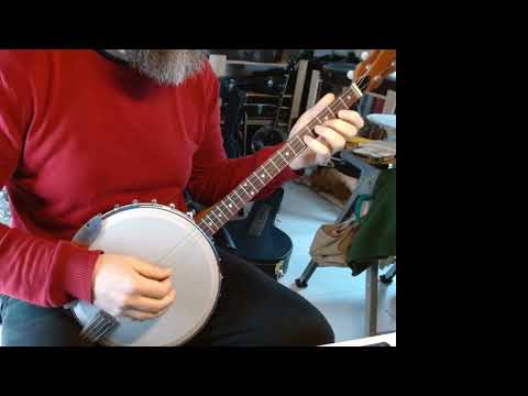 Höfner 19 frets open back tenor banjo | Reverb