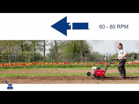 Pubert India Private Limited - Wholesaler / Distributor of Pubert ...