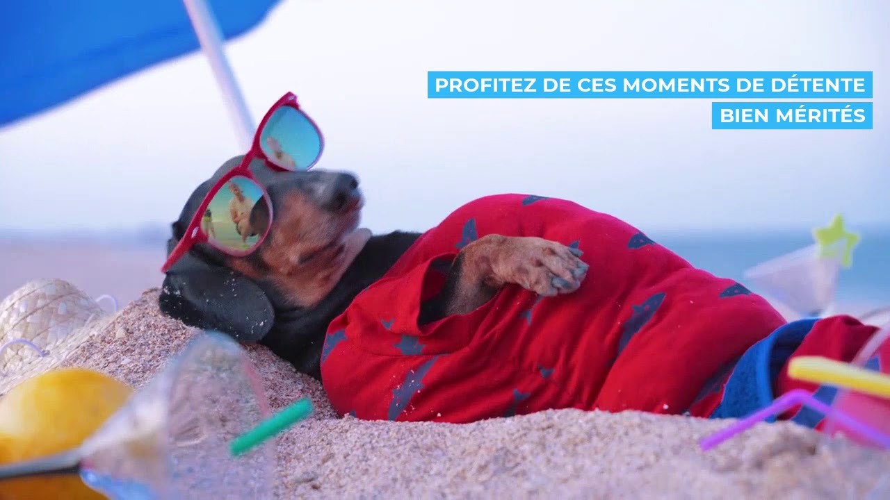 Bonnes Vacances