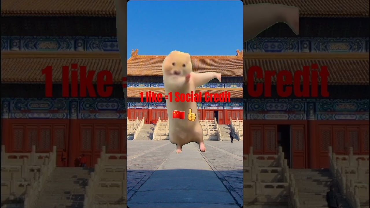 1 Like = 1 social Credit 🇨🇳