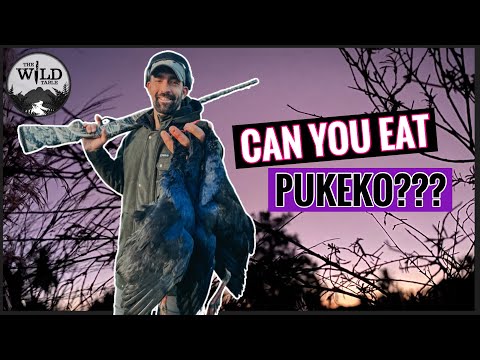 CAN YOU EAT PUKEKO?