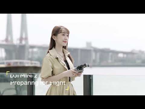 🔥 DJI Mini 2 SE Manual
