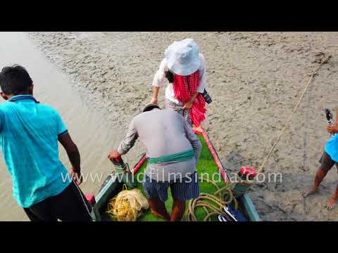 Sundarban from the eye of a local , Datta River, Sundarban Delta, India
