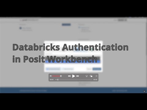 Databricks Authentication in Posit Workbench