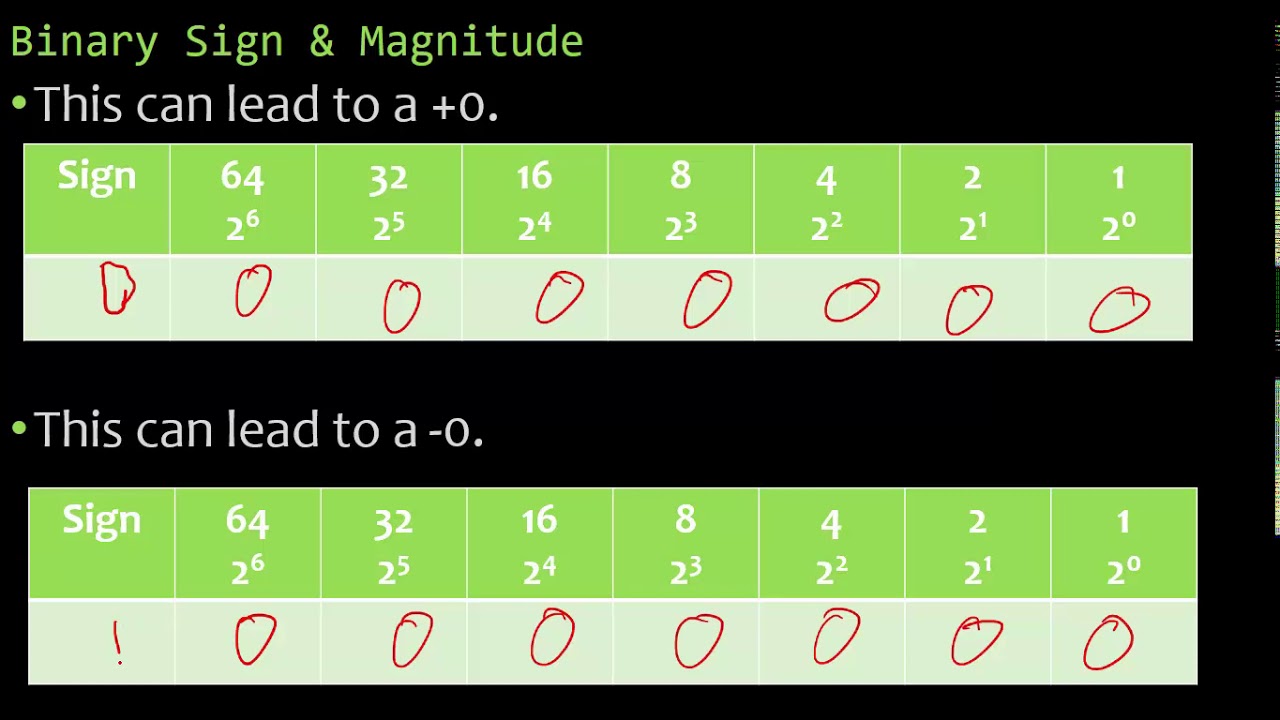 1 1 Data Representation