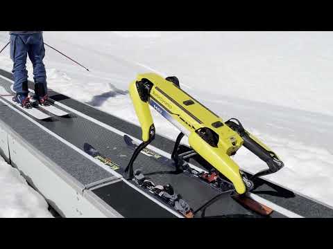 Skiing SPOT