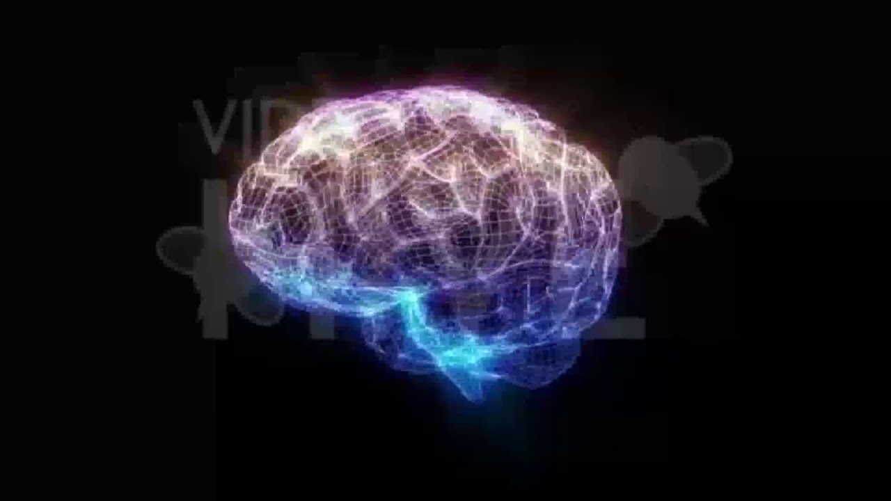 Wire Brain | Motion Graphics - Videohive template