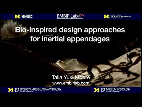 Talia Yuki Moore - Bio-inspired Design Approaches for Inertial Appendages