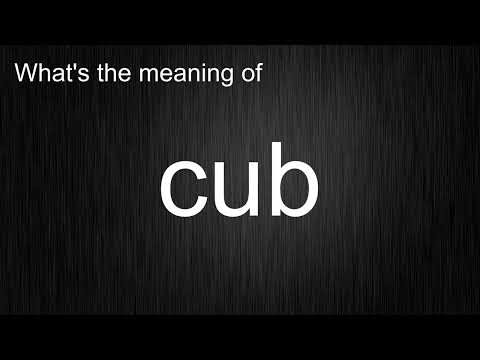 What's the meaning of "cub", How to pronounce cub?