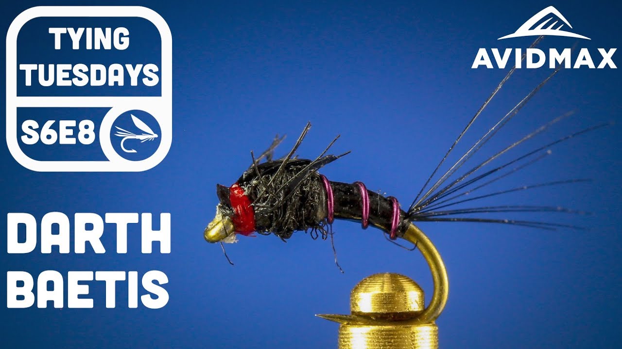 How to tie the Darth Baetis  | Variation | AvidMax Fly Tying Tuesday Tutorials