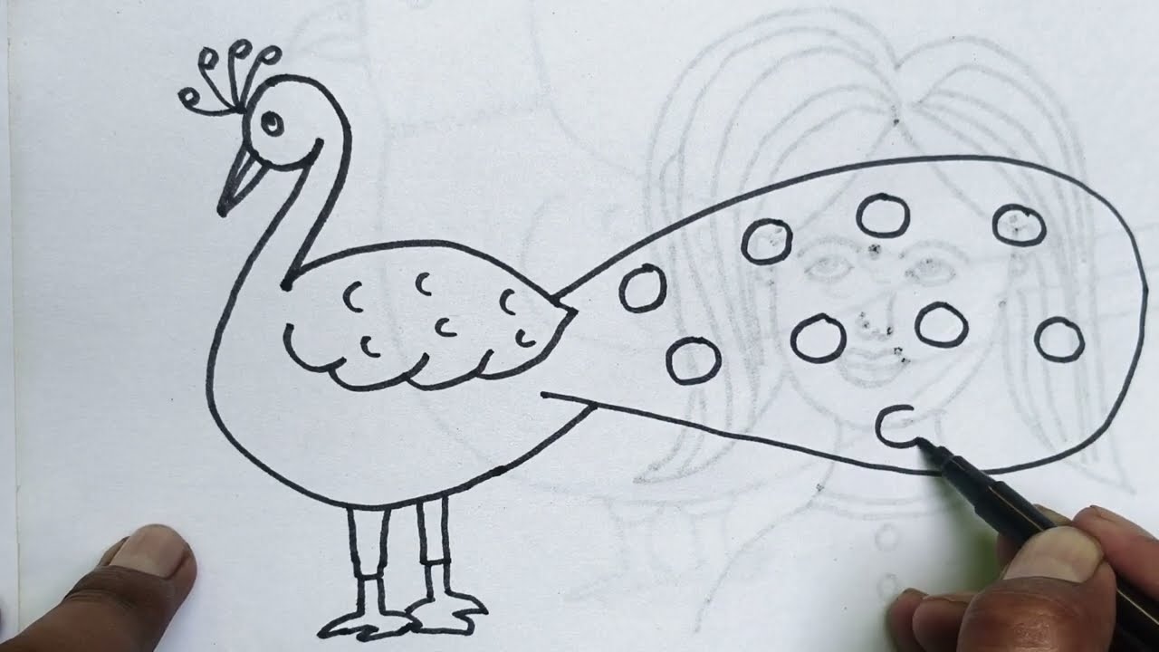 How to draw peacock/Beautiful peacock drawing tutorial/Peacock drawing easy@Onlydrawingmaths 