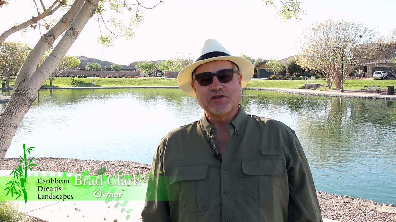 'Text Your Pics' Waterfall Repair Quote