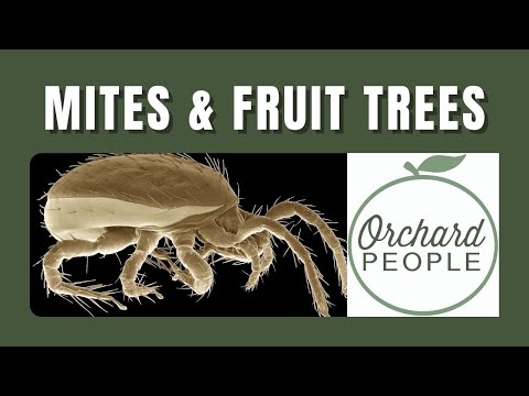 Mites and Fruit Trees