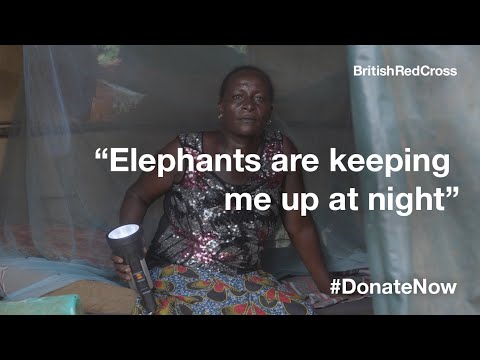 "Elephants are keeping me up at night" | Africa Food Crisis | British Red Cross