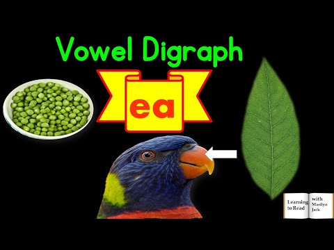 Vowel Digraph: 'ea' (four-letter words)