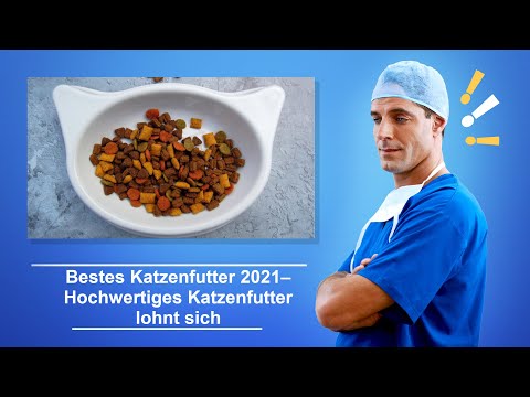 🚑 Bestes Katzenfutter 2024 – Hochwertiges Katzenfutter lohnt sich