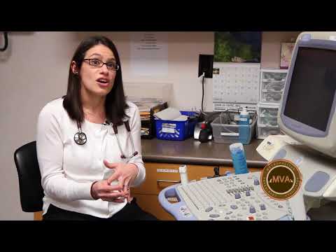 Cardiology at Metropolitan Veterinary Associates