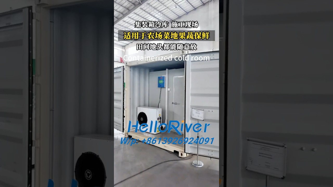 20FT 40FT Cold Container Cold Storage Room Freezer System Cold Storage Room Storage Factory Supplier