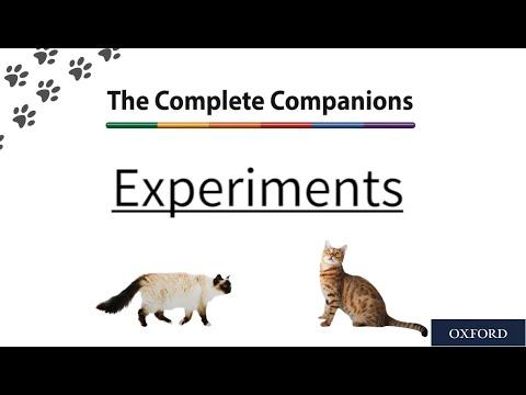 The Complete Companions: Psychological Experiments