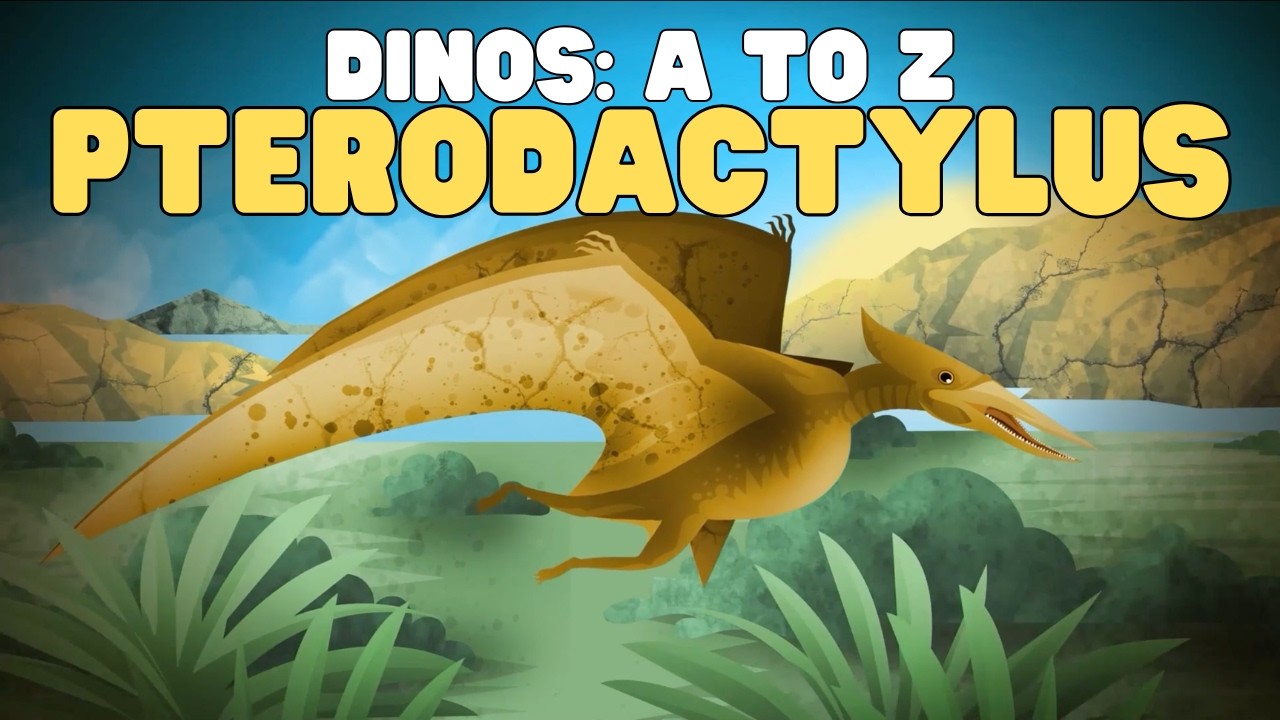 Dinos A to Z: Pterodactylus | Learn about this iconic pterodactyl
