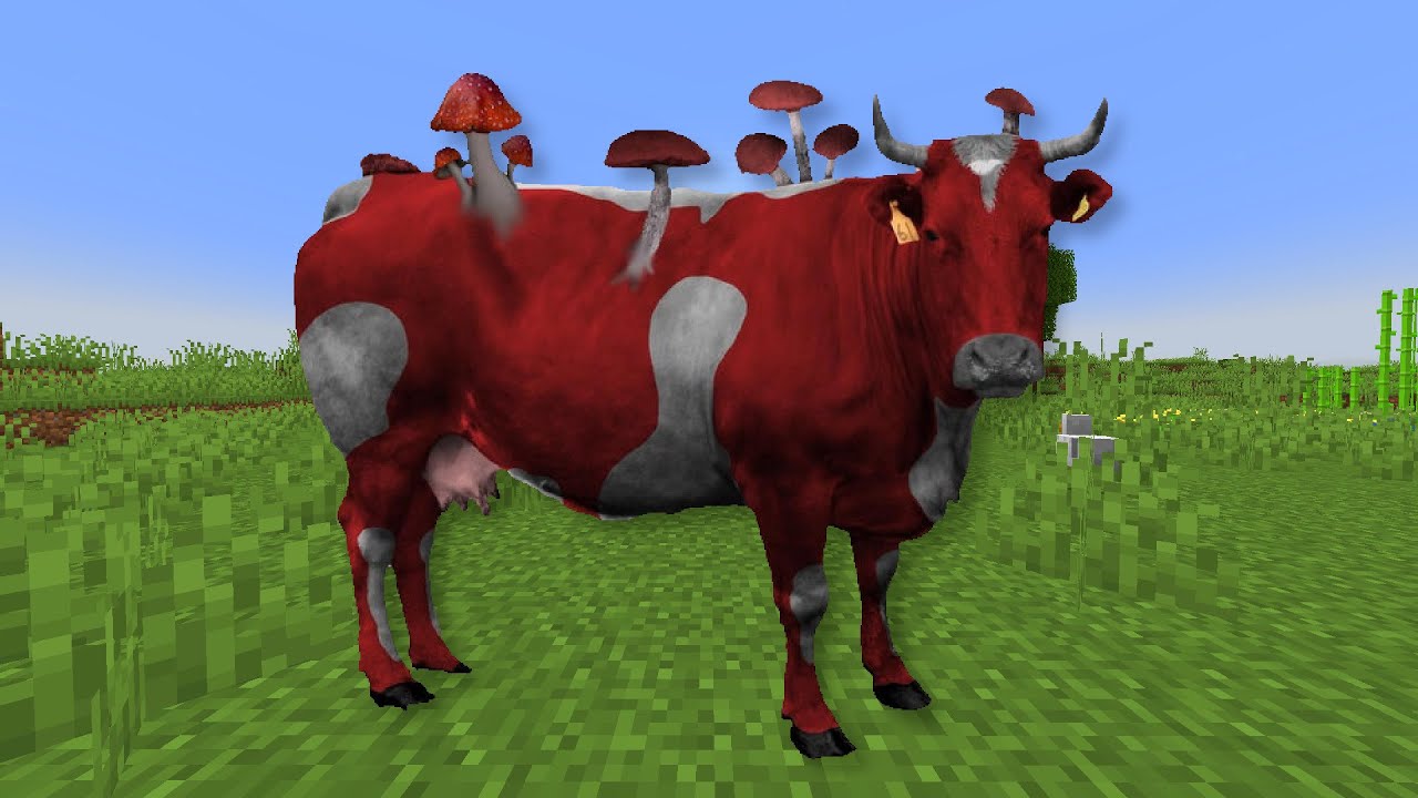 r/Realistic_Minecraft exists...