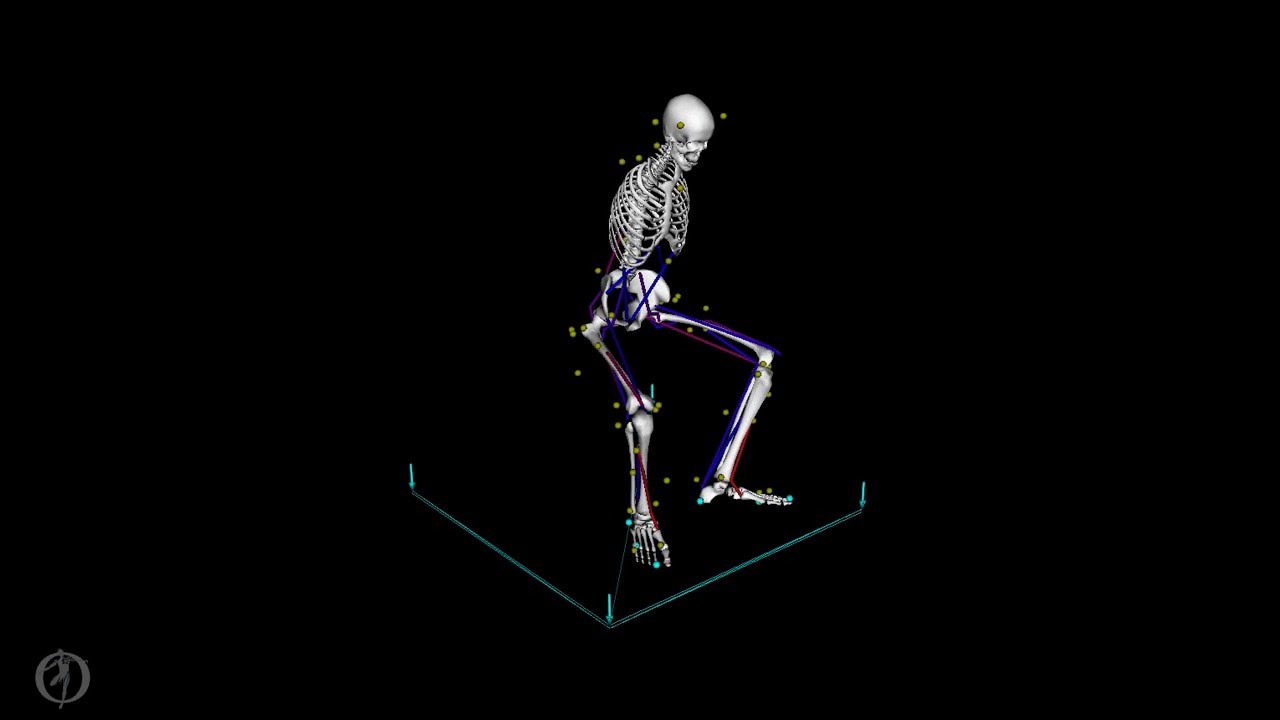 Using Computed Muscle Control to Generate a Forward Dynamics Simulation of the Sit to Stand Task