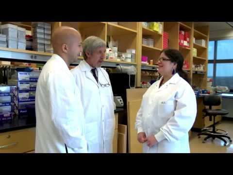 UM Schools of Dentistry and Medicine to study the causes, prevention and treatment of STDs