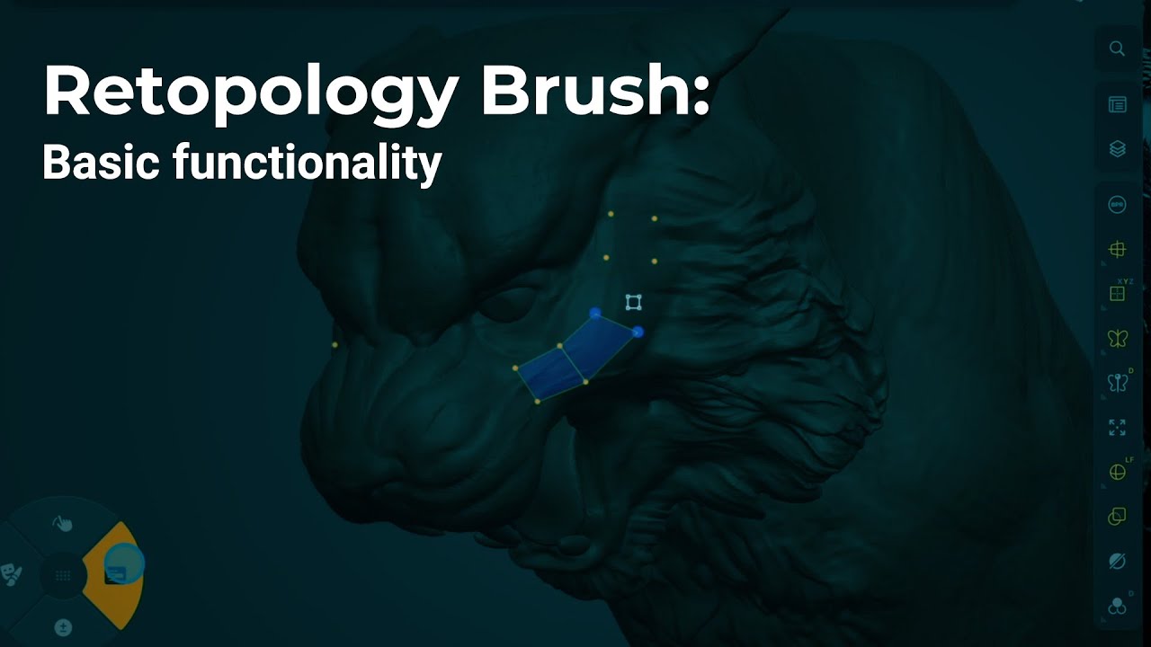 Getting Started with ZBrush for iPad - Retopology brush - Basic functionality