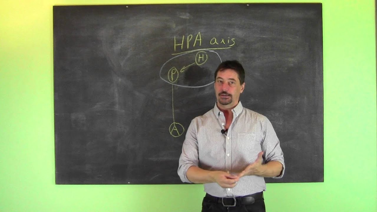 Is Adrenal fatigue Real? -  part 2