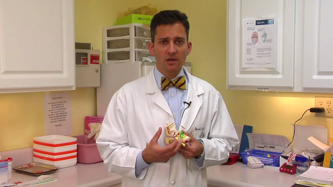 Ear Problems & Infections : How to Drain Liquid From Behind the Ear Drum