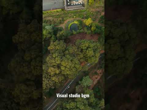 Forest road Bgm no copyright background music