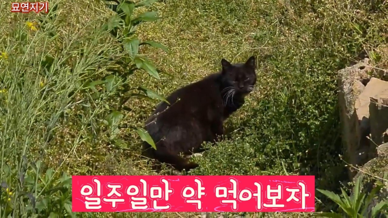내 작은 노력과 관심으로 니가 더 편안했으면 좋겠다