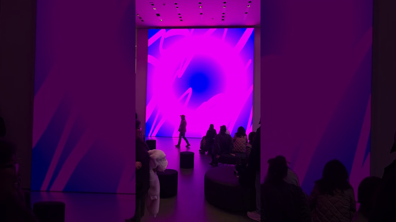 Sasha Stiles at MoMA #alanwatts #videoart