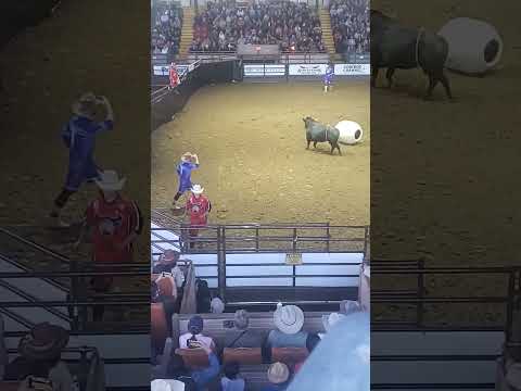 Fiesta Del Toro #pbr #ubf #stockyards