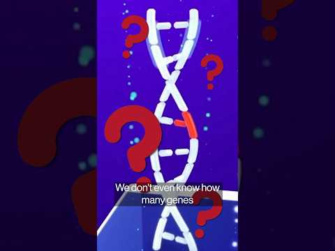 How Accurate Are DNA Tests Like 23andMe?