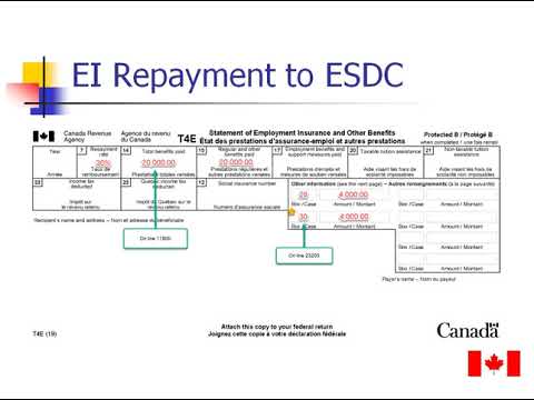 How to file your tax when you have EI Repayment (Overpayment) in 2020