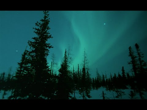 Picture of Light (1994): "Look Up There!" (HD)