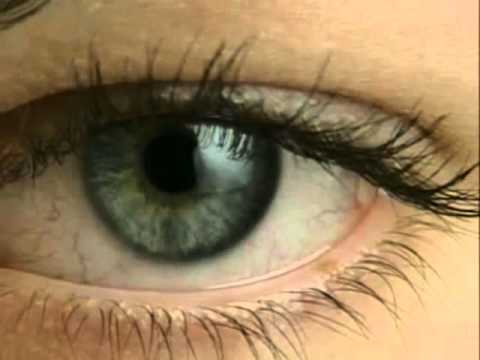 The Eye:  Iris and Pupil