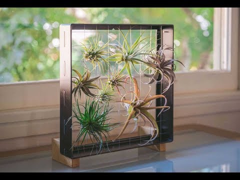 FRAME FEET ADDITION - Airplantman