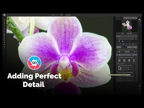 Dynamic Contrast: Adding Perfect Detail to Any Photo - ON1 Photo RAW 2019